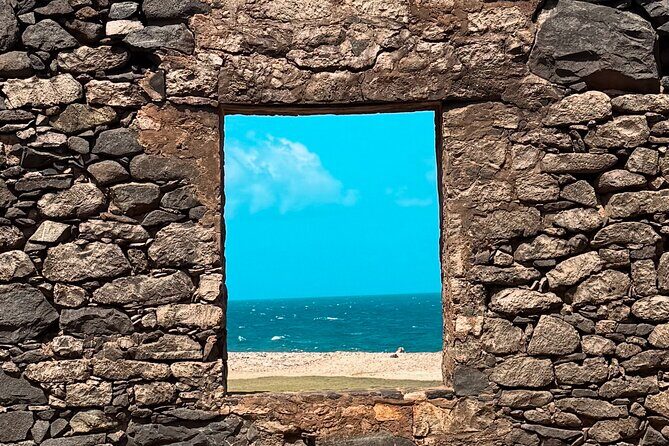 Private Tour: Swim with Turtles, Cave Pool & Floating Breakfast - The Sum Up