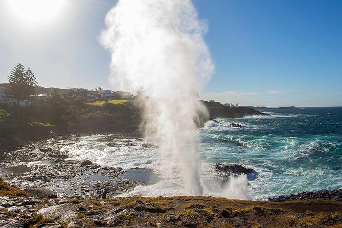 Private Tour: Sydney South Coast & Highlands - What Do the Reviews Tell Us?