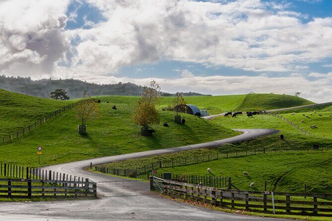 Private Tour Tauranga Magical Hobbiton Movie Set - FAQ