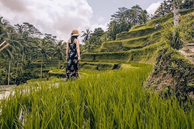 Private Tour-Temple, Waterfall & Coffee plantation - FAQ