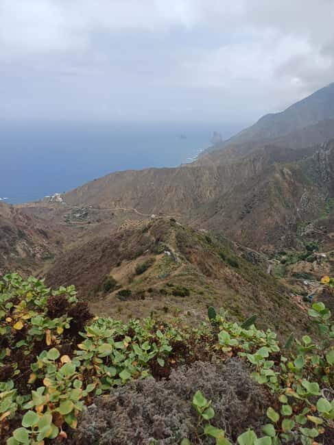Private Tour Tenerife: Anaga, Taganana, Benijo & La laguna - Discovering authentic Taganana