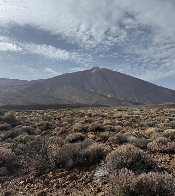 Private tour Tenerife: Teide National Park + Restaurant - Concluding Thoughts