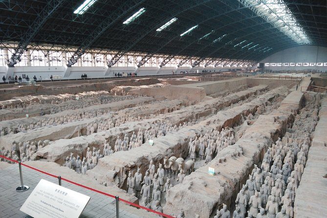 Private Tour: Terracotta Army Museum and Xi'an City Highlights - The Sum Up