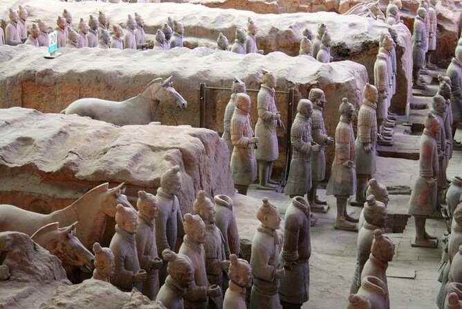 Private Tour: Terracotta Warriors and Han Yang Ling Mausoleum from Xi'an - An In-Depth Look at the Tour Experience