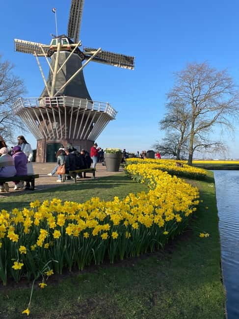 Private Tour, Tesla from Amsterdam: Keukenhof & Tulip Fields - An In-Depth Look at the Tour Experience