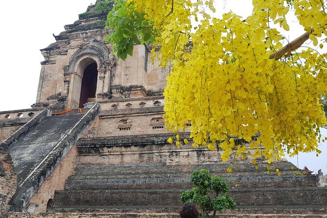 Private Tour: Thai Culture& Experience with Buddhism - Who Would Enjoy This Tour?