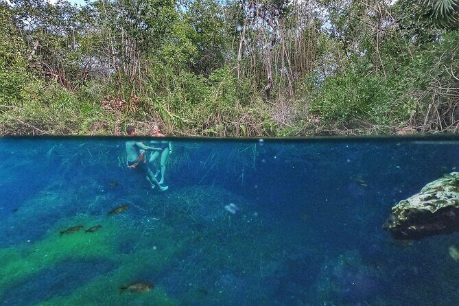 Private Tour The Best Cenotes in Tulum Riviera Maya - Authentic Guides: The Heart of the Tour