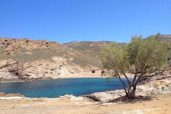 Private Tour: The Best of Mykonos (no walking) - Who Is This Tour Best For?