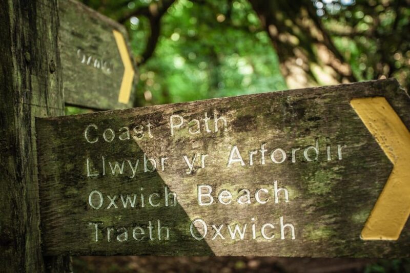 Private Tour: The Gower - Mumbles, Three Cliffs & Worms Head - An In-Depth Look at the Gower Peninsula Tour