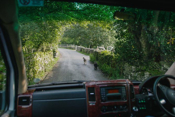 Private Tour: The Lake District from Liverpool - Final Thoughts