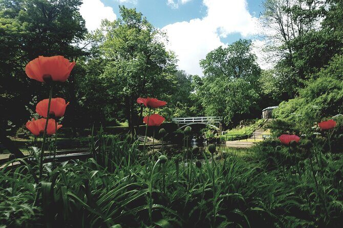 Private Tour The Montreal Garden from Kingstown - Exploring Kingstown and Montreal Gardens