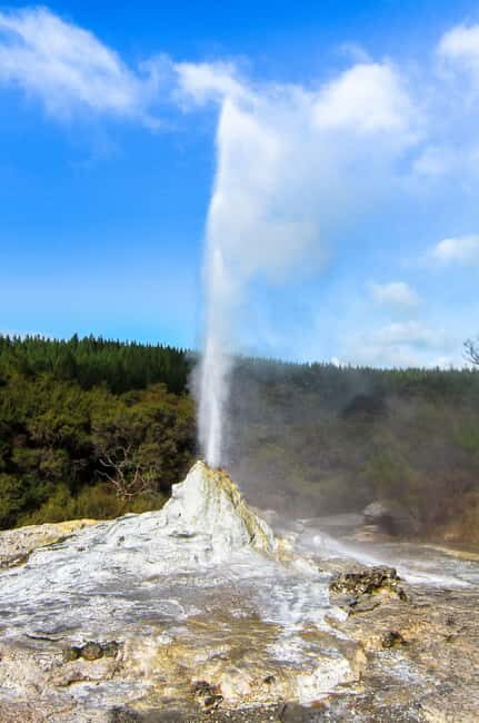 Private Tour: The Rocky Rotorua (Flexible) - Key Points