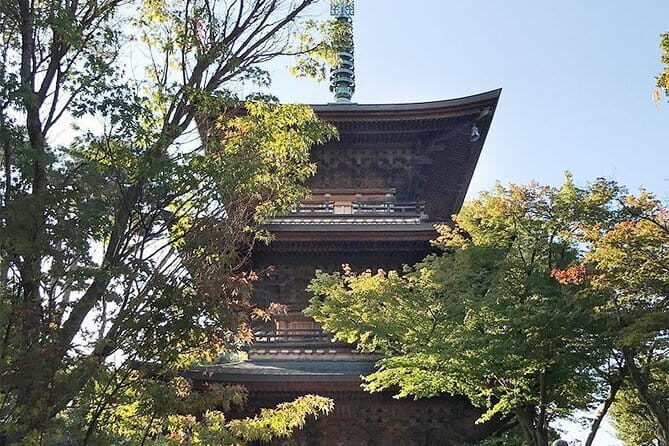Private Tour - Thousands of lucky cats! Go by tram, Gotokuji Tour - What Travelers Are Saying