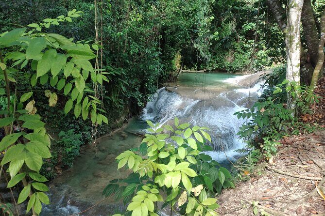 Private Tour Through Jamaican Countryside to Benta River Falls - The Sum Up