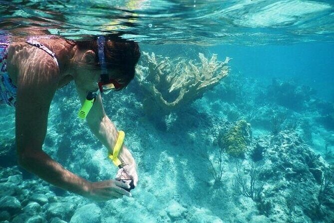 Private Tour: Tioman Island (Sribuat) Reef Snorkel & Summit Hike from Singapore - Frequently Asked Questions