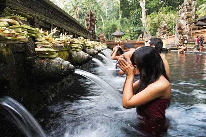 Private Tour: Tirta Empul, Tukad Cepung Waterfall & Penglipuran Village - Additional Practical Details