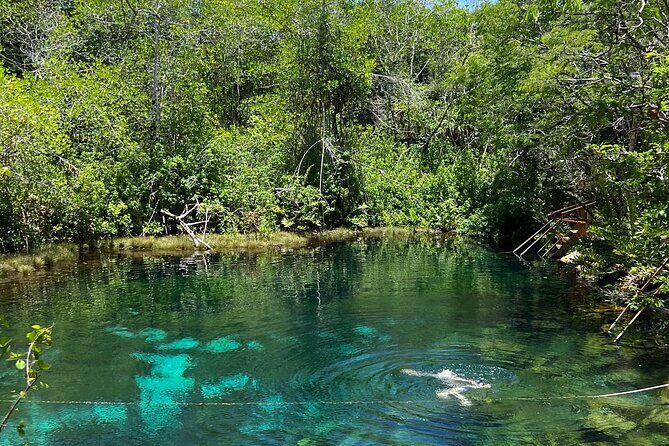 Private Tour to 4 Cenotes - Who Should Consider This Tour?