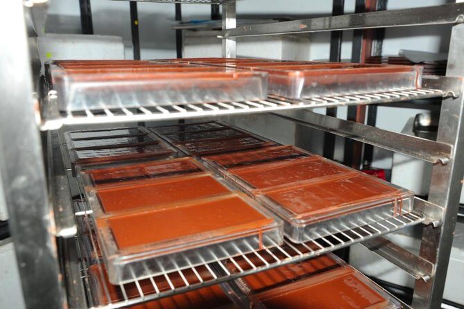 Private Tour to Aelan Chocolate Factory in Port Vila - The Experience: What You Can Expect at Aelan Chocolate Factory