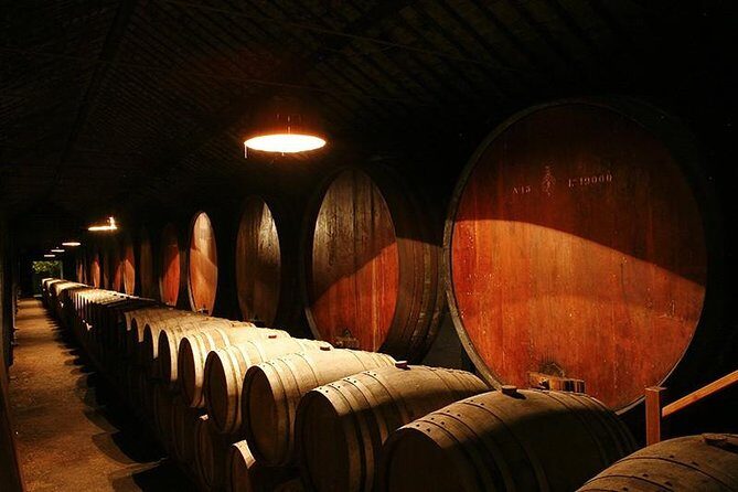 Private Tour to Arrabida Sesimbra and Setubal with Wine Tasting - FAQ
