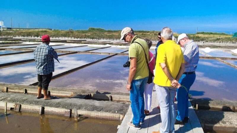 Private Tour to Aveiro and Costa Nova unique striped houses - Key Points