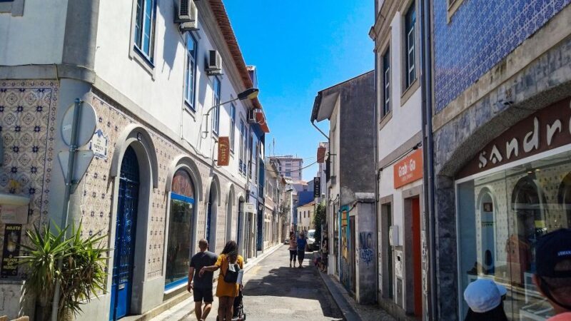 Private Tour to Aveiro and Costa Nova unique striped houses - In-Depth Look at the Itinerary and Highlights