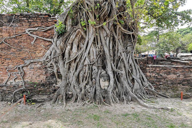 Private tour to Ayutthaya and Lopburi Monkey Temple (from Bangkok) - In The Sum Up