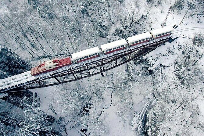 Private Tour to Bakuriani Ski Resort and the Legendary Borjomi - Exploring Georgias Winter Gems: A Deep Dive into the Private Tour to Bakuriani and Borjomi