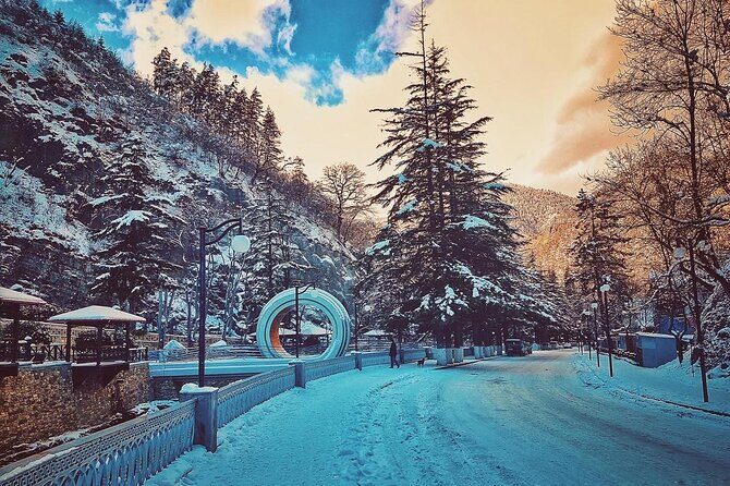 Private Tour to Bakuriani Ski Resort and the Legendary Borjomi - The Sum Up