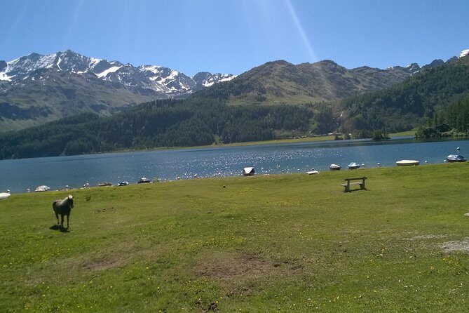 Private tour to Bernina train & Lake Como. Hotel pick-up - Stop 3: The Bernina Express – The Heart of the Tour