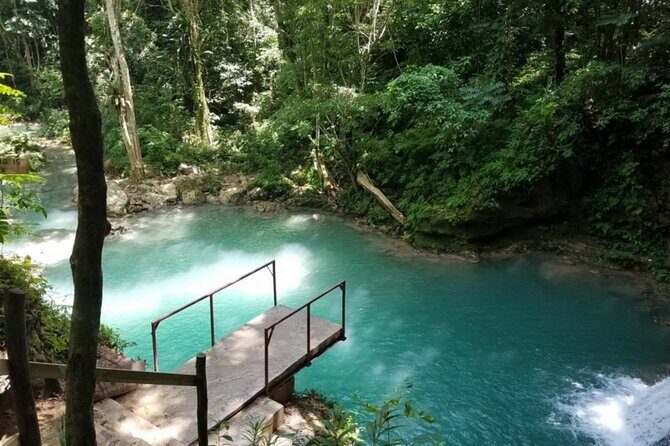 Private Tour To Blue Hole and Dunns River from Montego Bay - Who Should Book This Tour?