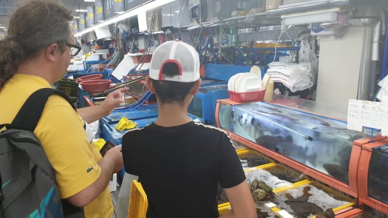 Private tour to Busan, the Marseille of Korea - An Introduction to Busan: The Korean Marseille