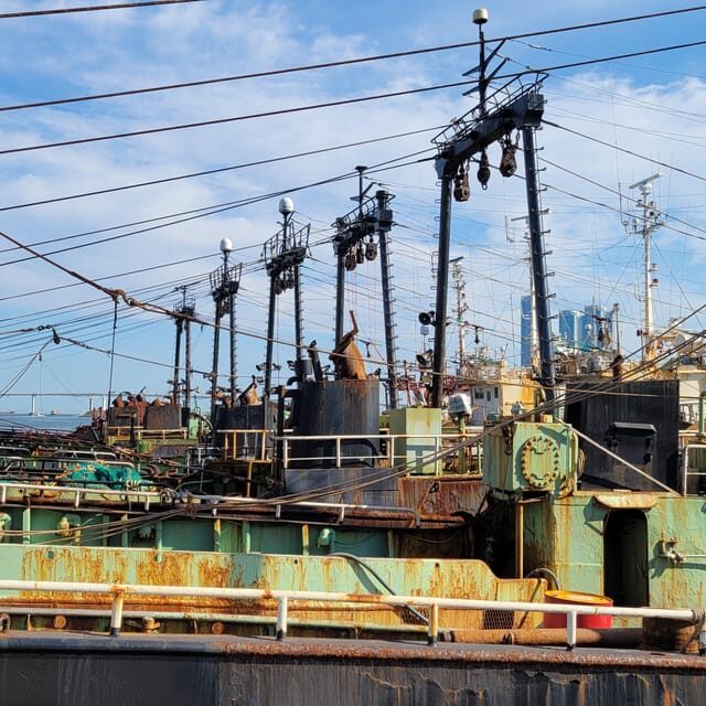 Private tour to Busan, the Marseille of Korea - Pricing, Value, and Practical Considerations