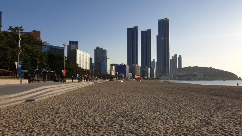 Private tour to Busan, the Marseille of Korea - Final Thoughts: Who Should Consider This Tour?