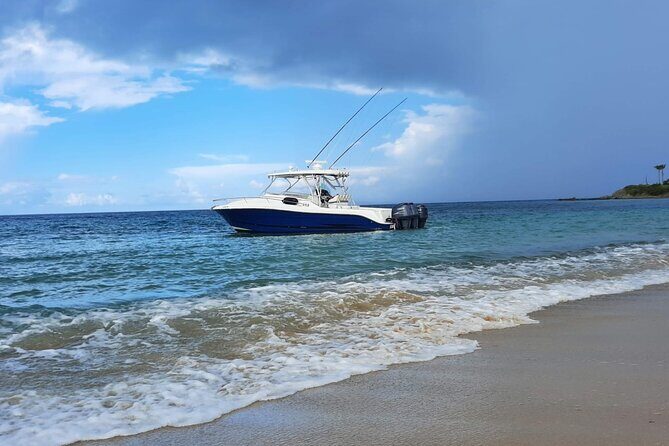 Private Tour to Cayo Icacos and Palomino Island - An in-depth look at what this tour offers