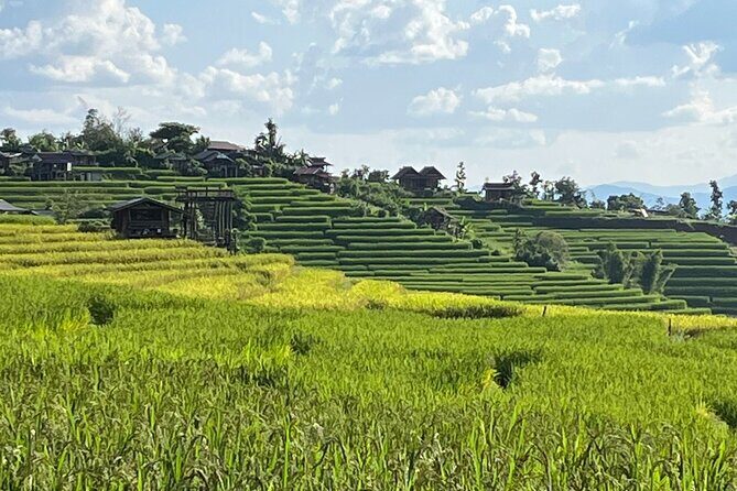 Private Tour to Chiang Mai Rice Terraces and National Park - Introduction