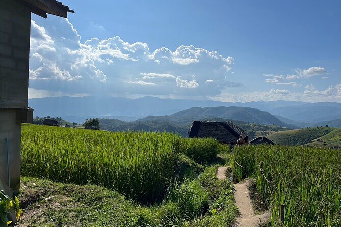 Private Tour to Chiang Mai Rice Terraces and National Park - Exploring the Itinerary in Depth