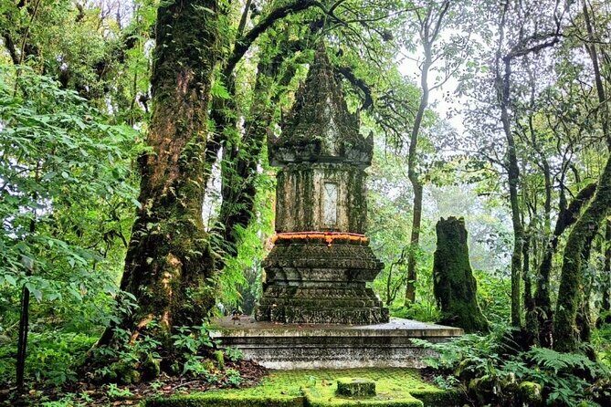 Private Tour to Chiang Mai Rice Terraces and National Park - Who Is This Tour Best For?