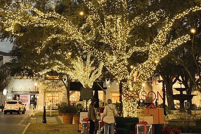 Private Tour to Christmas Winter Village, Bayshore and Hyde Park - FAQ