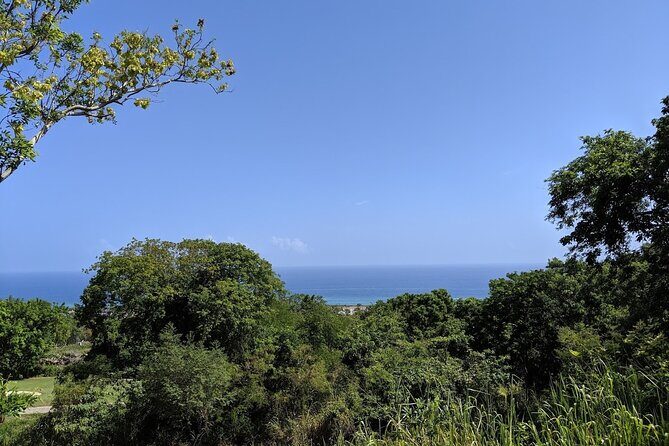 Private Tour to Cinnamon Hill Great House (Home of Johnny Cash) - Final Reflection