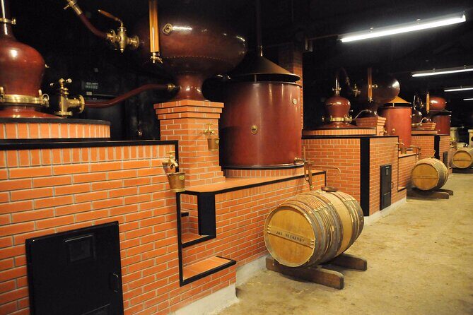 Private Tour to Cognac from Bordeaux - The Sum Up
