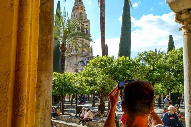 Private tour to Córdoba from Seville (several options) - Why Choose a Private Córdoba Day Trip?