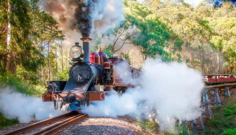 Private Tour to Dandenong Ranges & Puffing Billy Steam Train - Exploring the Dandenong Ranges and Puffing Billy