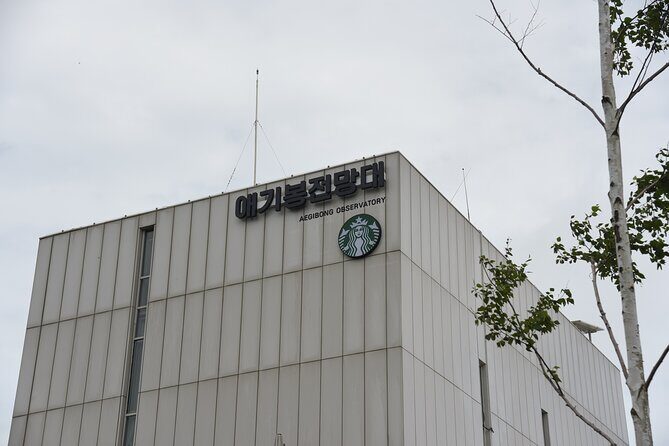 Private Tour to DMZ Outpost & UNESCO Royal Tombs - What Travelers Are Saying