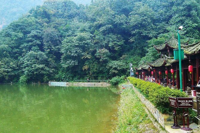 Private Tour to Dujiangyan & Mt Qingcheng from Chengdu - An In-Depth Look at the Tour Itself