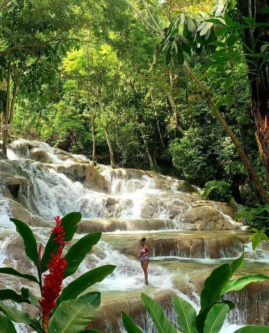 Private Tour to Dunns River and Blue Hole from Montego Bay - What You Can Expect from This Tour