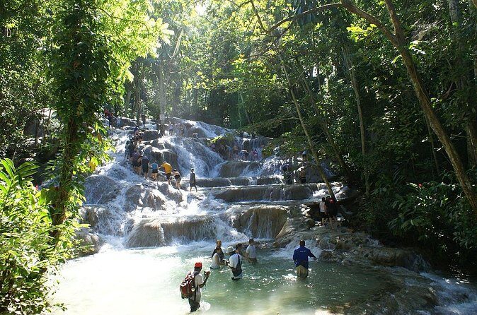 Private Tour to Dunns River and Horseback Riding with Local Guide - Authentic and Well-Reviewed