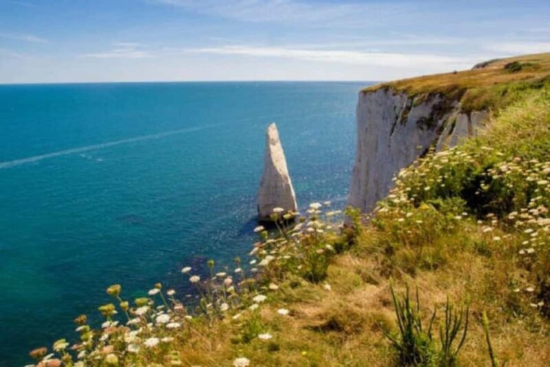 Private tour to Durdle Door, Corfe Castle, New Forest - The Sum Up