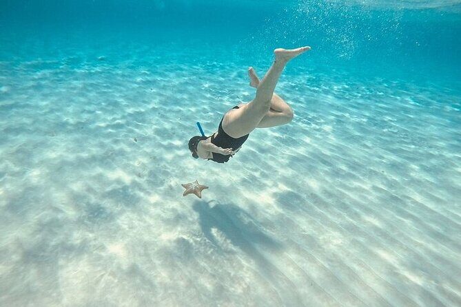 Private Tour to El Cielo and El Cielito and Palancar Cozumel - Summary