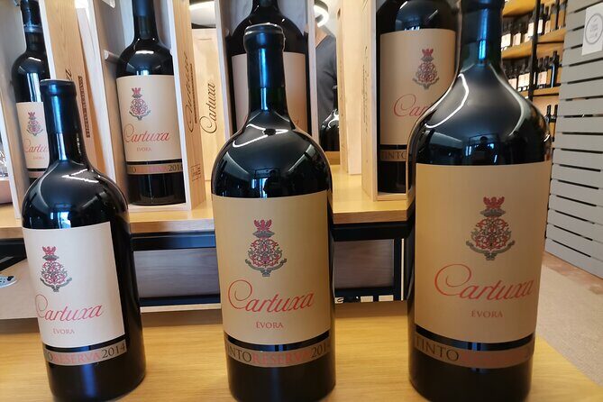 Private Tour to Evora with wine tasting at the Cartuxa Winery - Detailed Itinerary Breakdown