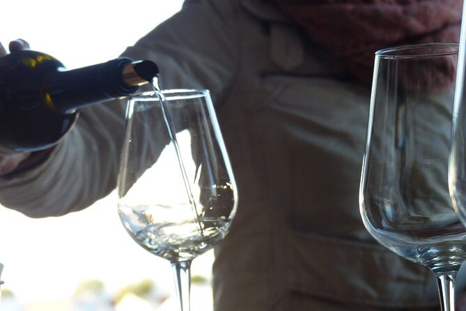 Private Tour to Evora with wine tasting at the Cartuxa Winery - Who Is This Tour Best For?